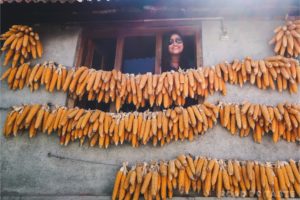 Visiting Sainji -The Corn Village near Mussoorie - Road to Taste