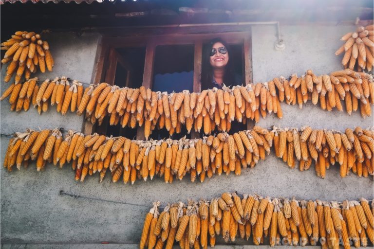 Visiting Sainji -The Corn Village near Mussoorie - Road to Taste